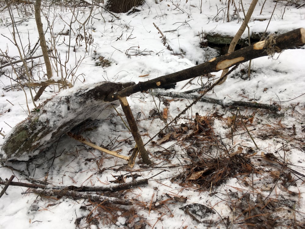 6 Types of Primitive Traps for Food Survival | Survival Life